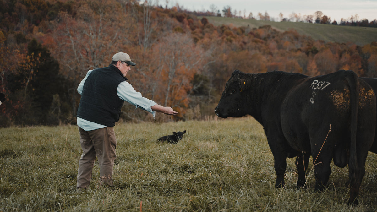 The Simpson's Story | Simpson's Meats